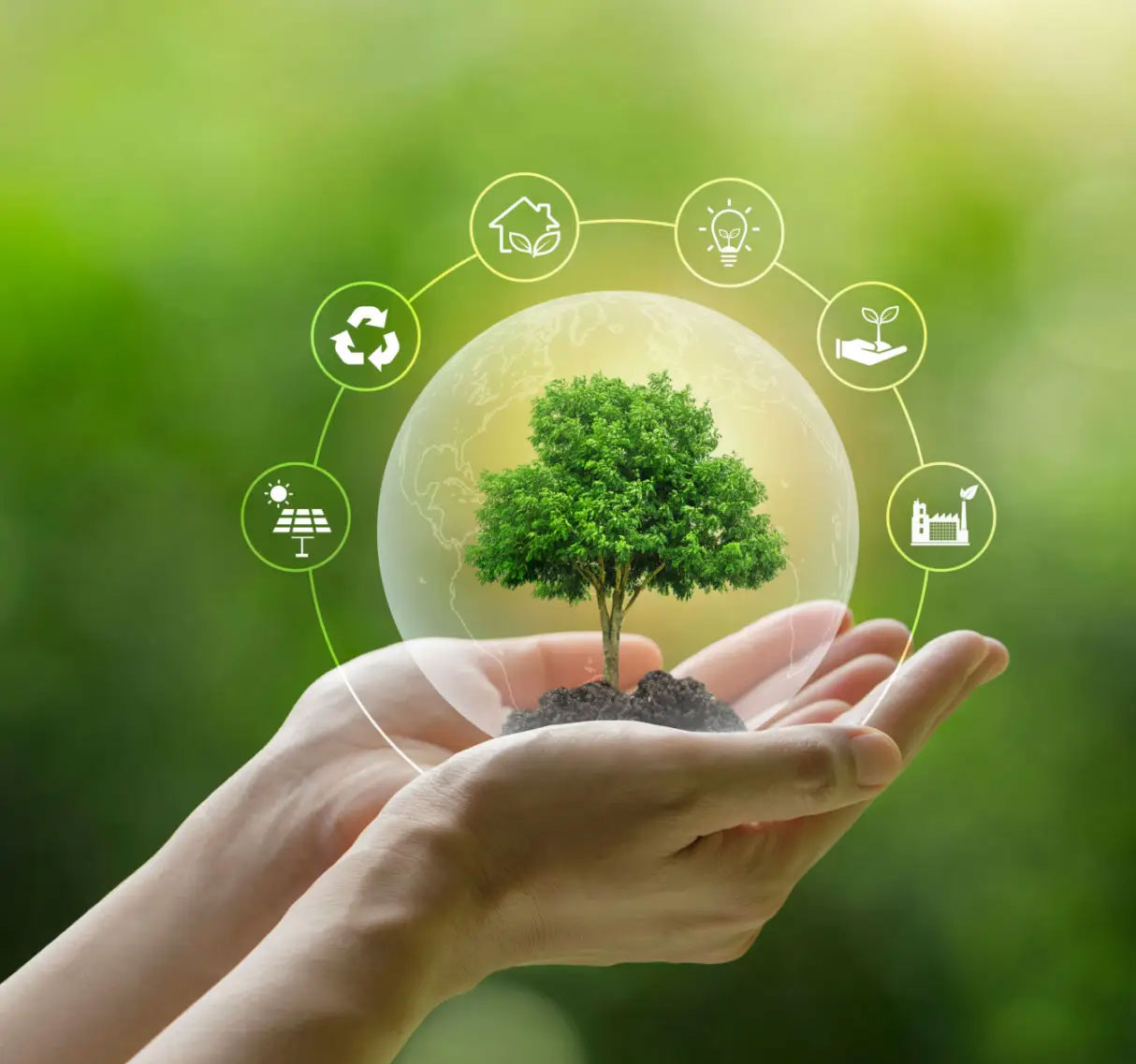 Entreprise de transport et logistique verte à Rungis