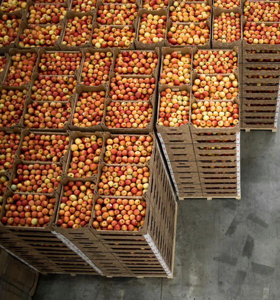 Transport agroalimentaire pour les grossistes en Ile-de-France